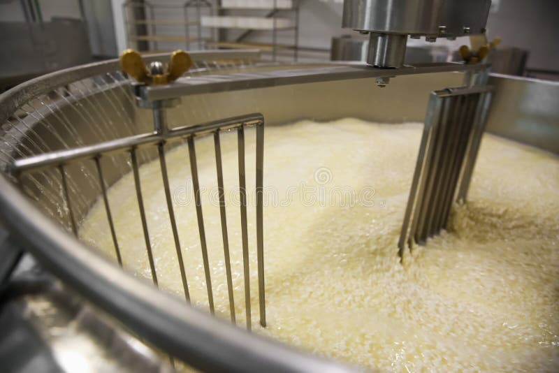 Curd and Whey in Tank at Cheese Factory Stock Image - Image of liquid ...