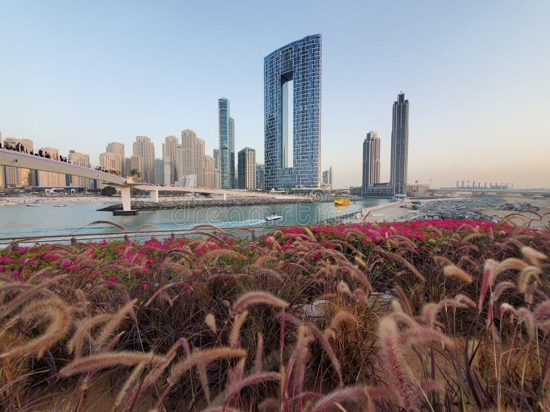 220 Address Beach Resort Stock Photos - Free & Royalty-Free Stock ...