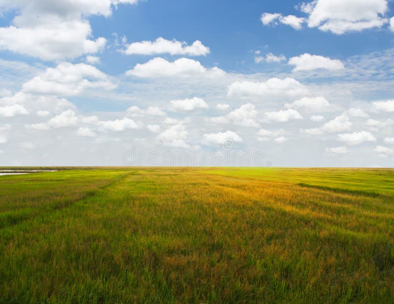 Addy Field Stock Photos - Free & Royalty-Free Stock Photos from Dreamstime