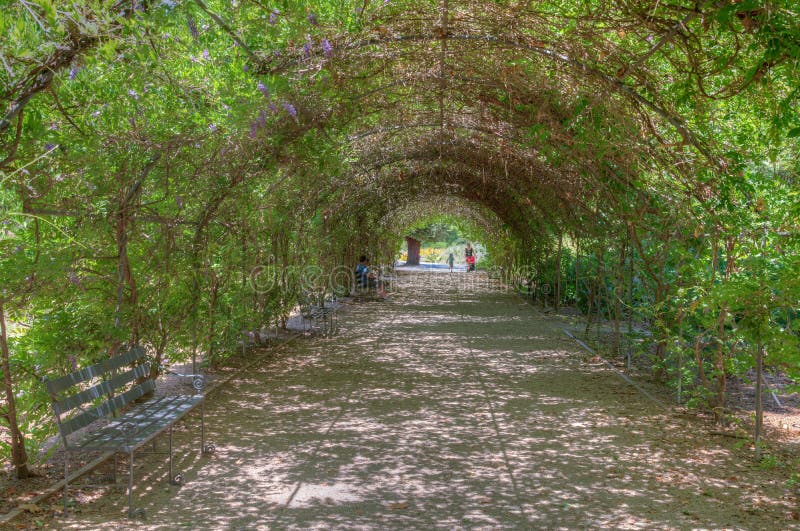 ADELAIDE, AUSTRALIA, JANUARY 7, 2020: People Strolling through Botanic ... ADELAIDE, AUSTRALIA, JANUARY 7, 2020: People Strolling through Botanic ...