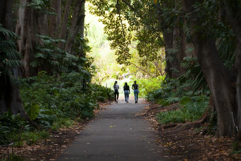 Adelaide Botanic Garden editorial image. Image of adelaide - 261006605