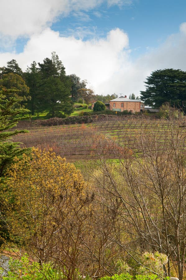 Adelaide Hills stock photo. Image of south, landscape - 33545784