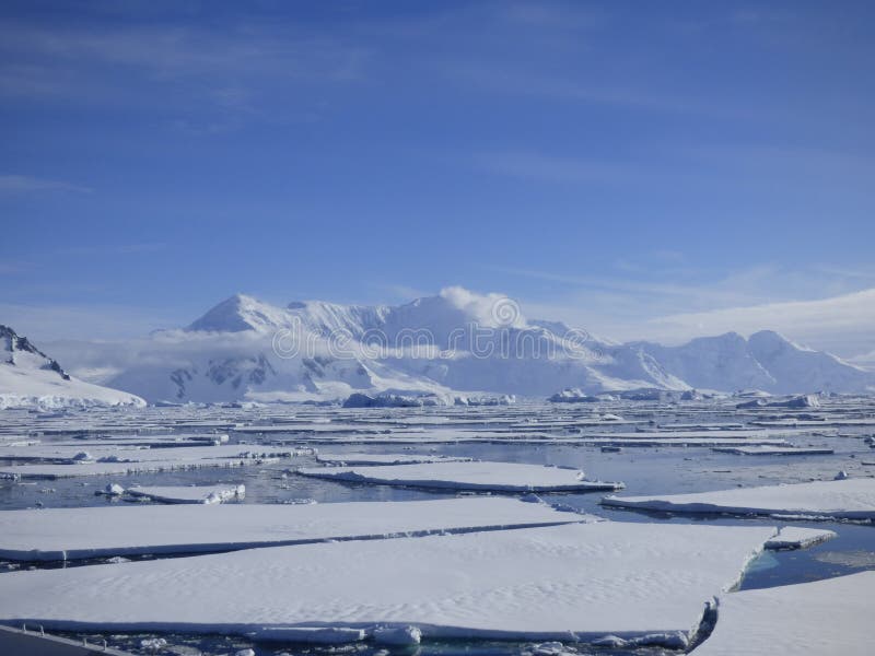 Adelaide Island stock image. Image of island, breaking - 225075359