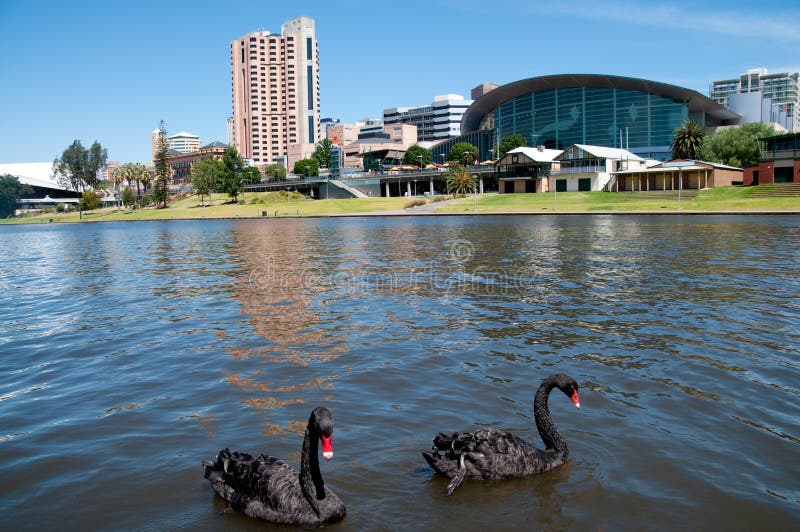 Mackay Airport editorial stock photo. Image of tropical - 22222798