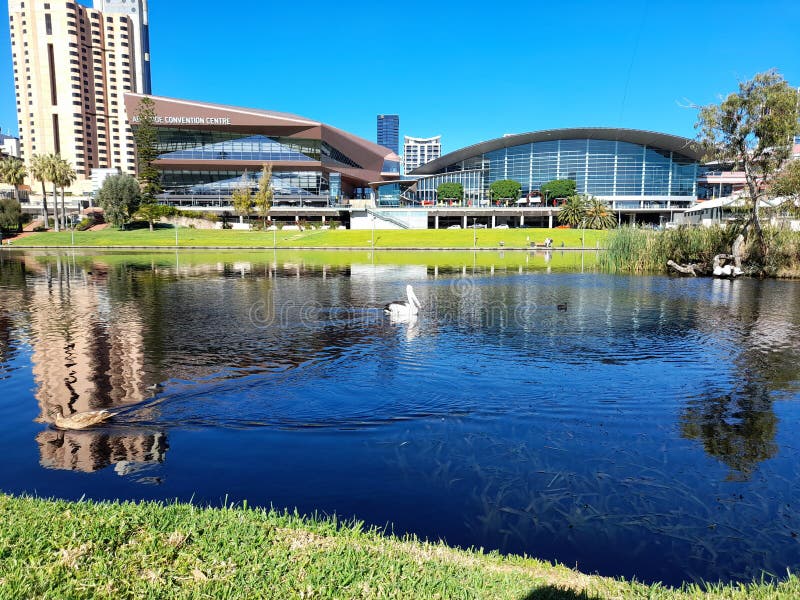 Adelaide Torrens River City View Stock Photo - Image of river, torrens ...