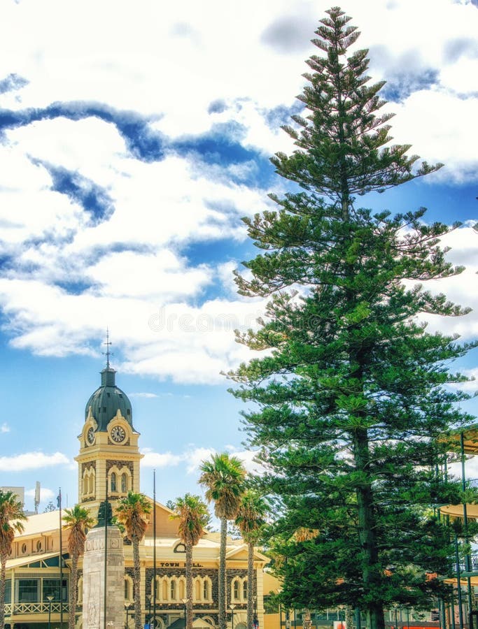 Adelaide Town Hall image stock. Image du politique, tour - 125804767