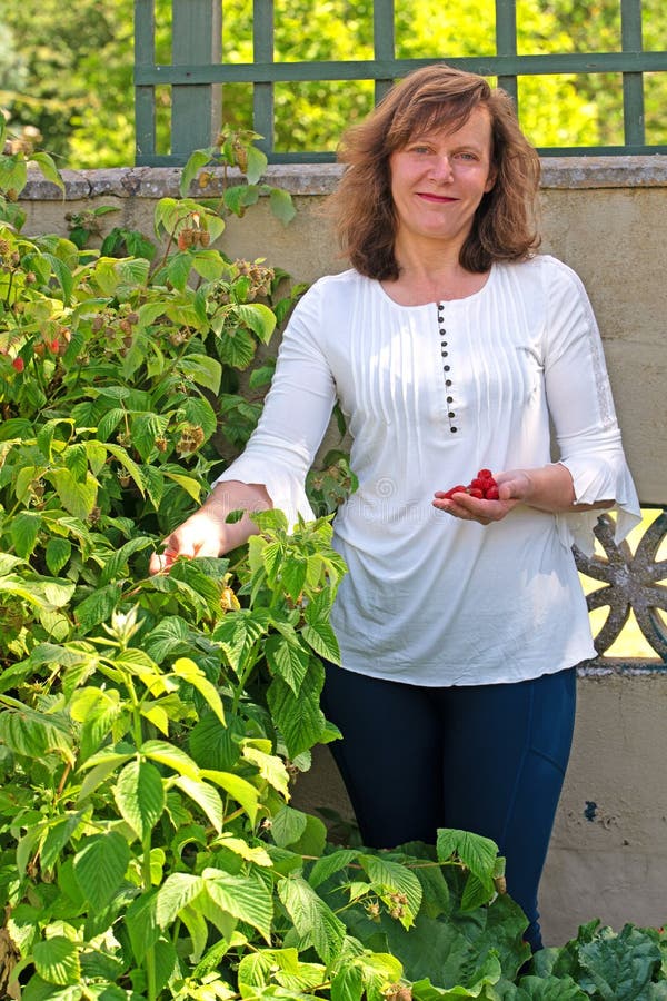 Adele Picking Raspberries in the Fruit and Vegetable Garden. Stock ...