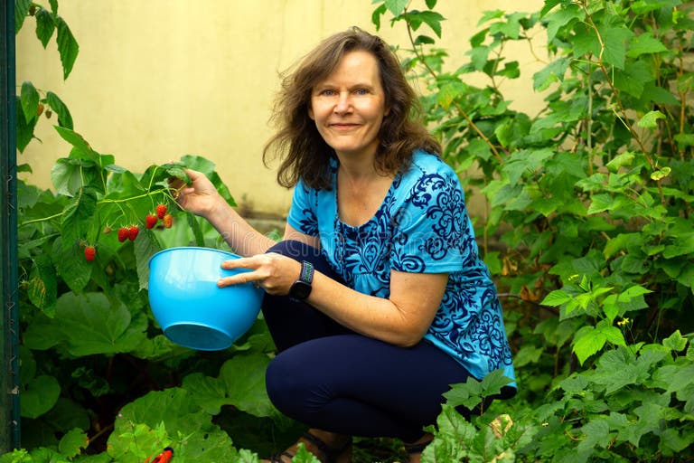 Brunnette Picking Strawberries Stock Illustrations – 1 Brunnette Picking Strawberries Stock ...