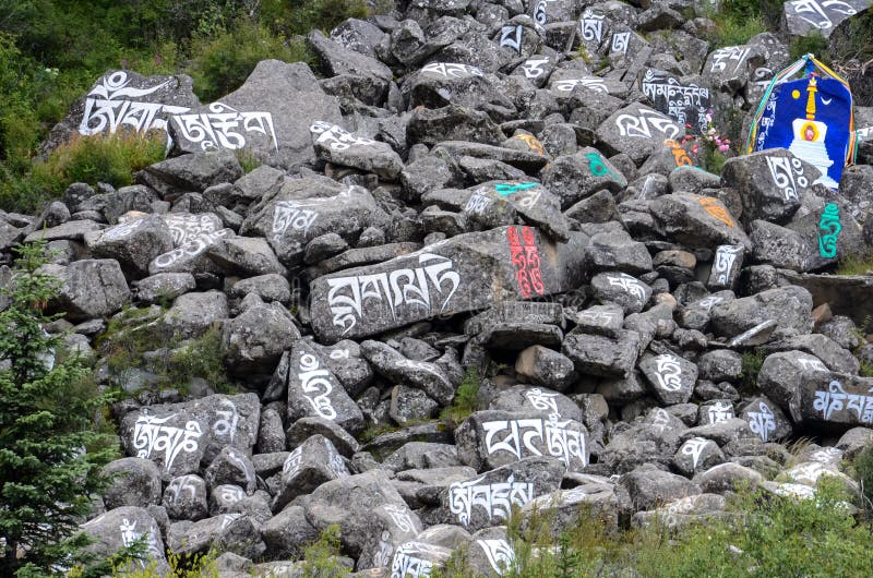 Zen buddhist stones stock photo. Image of piled, petals - 10651234