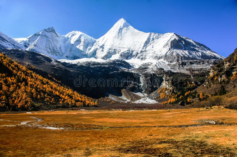China Mountain at Zhang Jie Jia Stock Image - Image of concision, asia ...