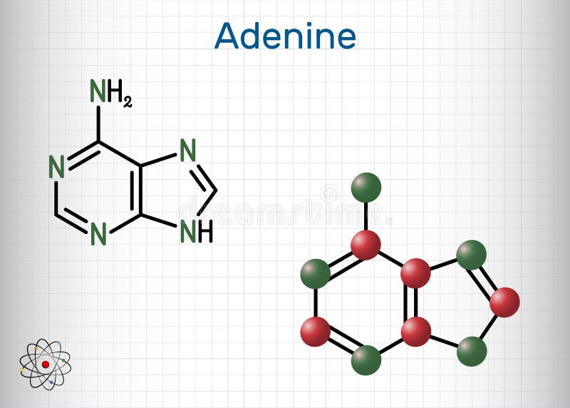 Adenine chemical formula stock vector. Illustration of adenine - 150248201