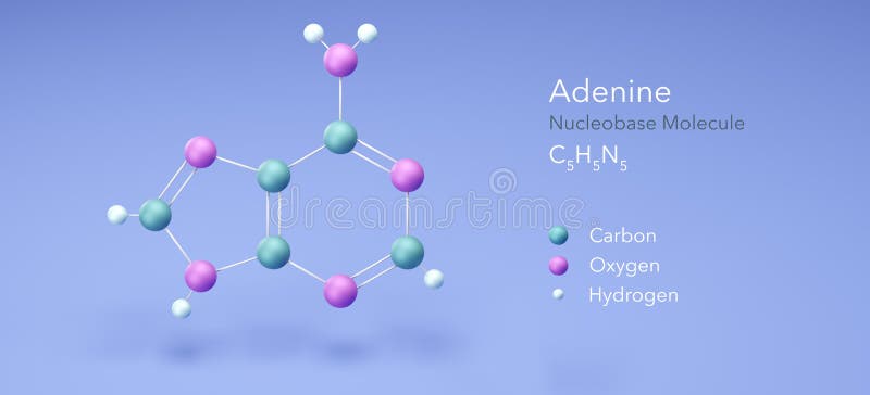 Adenine 3d Structure
