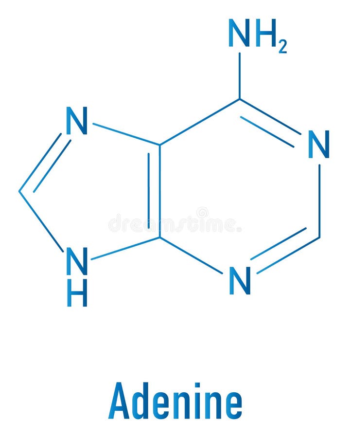 Adenine Purine Nucleobase Molecule. Base Present in DNA and RNA ...