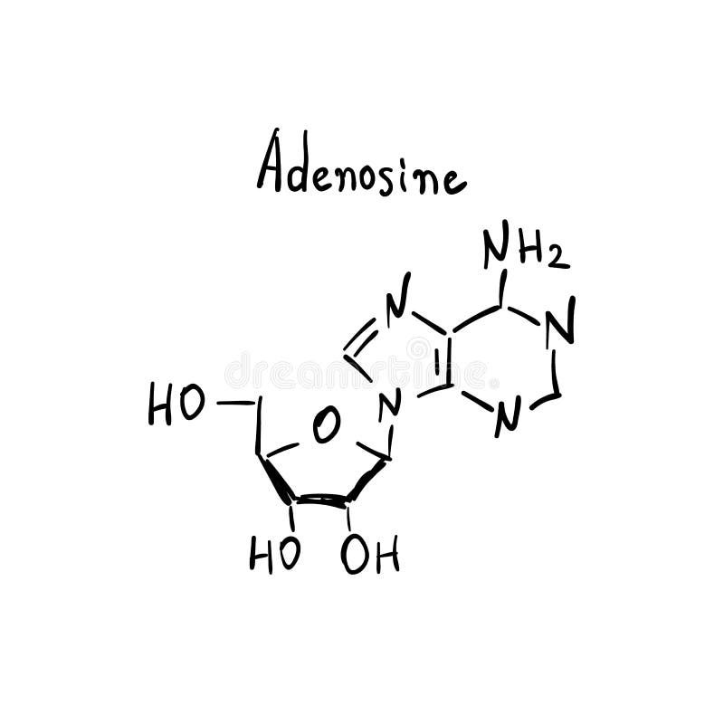 Adenosin Molecule Formula Hand Drawn Imitation Stock Vector ...