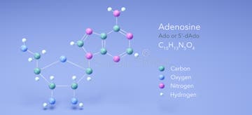 Adenosine Molecule, Molecular Structures, C10h13n5o4 3d Model ...