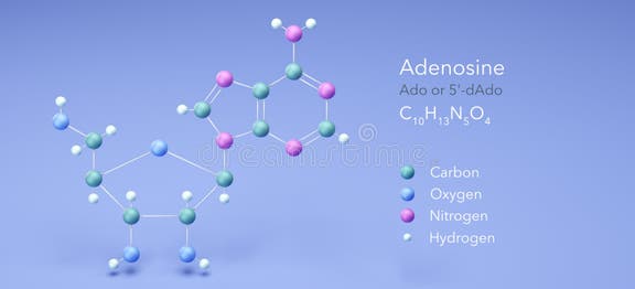 Adenosine Molecule, Molecular Structures, C10h13n5o4 3d Model ...
