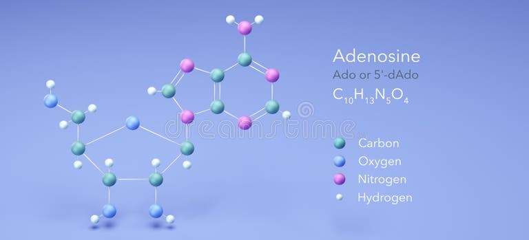 Adenosine Molecule, Molecular Structures, C10h13n5o4 3d Model ...