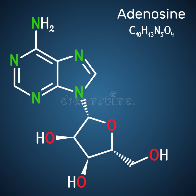Adenosine Ribonucleoside Molecule. Chemical Structure of Nucleoside ...