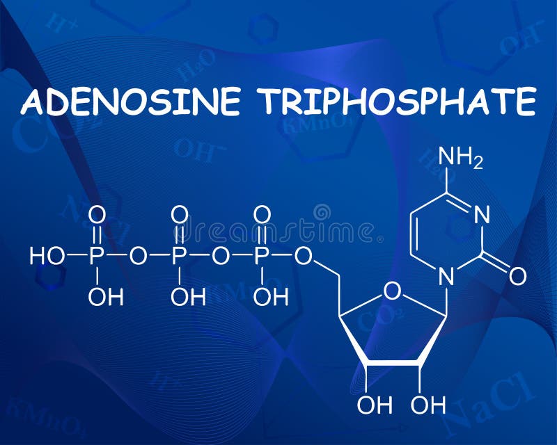 Adenosine chemical formula stock vector. Illustration of biochemistry ...