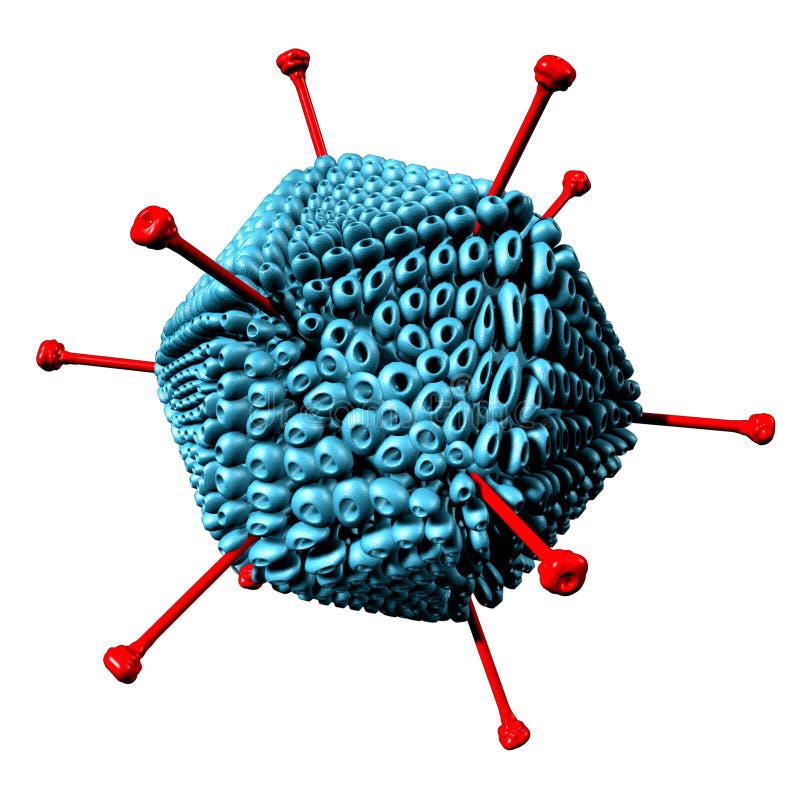 Adenovirus Virus Particle Structure Stock Illustration - Illustration ... Adenovirus Virus Particle Structure Stock Illustration - Illustration ...