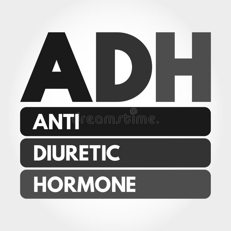 ADH - Antidiuretic Hormone Acronym, Concept Background. Antidiuretic ...