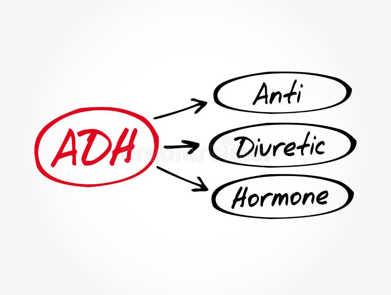 Adh Antidiuretic Stock Illustrations – 35 Adh Antidiuretic Stock ...