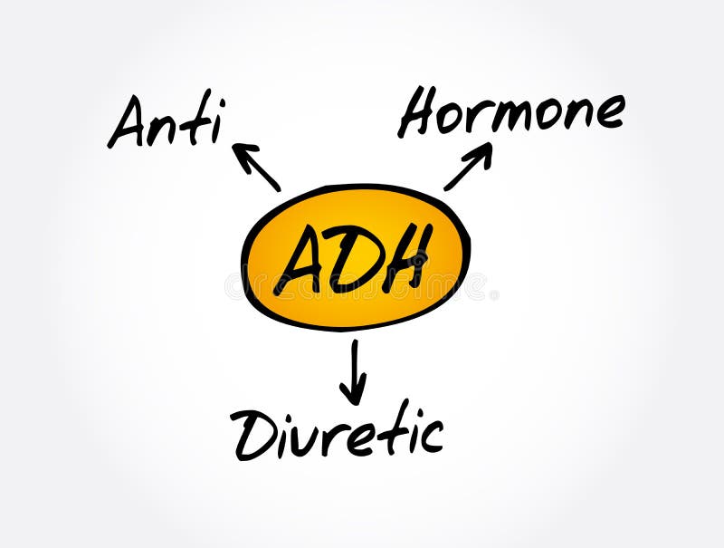 Adh Antidiuretic Stock Illustrations – 35 Adh Antidiuretic Stock ...
