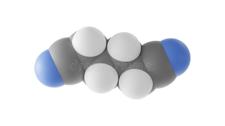 Adiponitrile Molecule, Precursor Polymer Nylon 66, Molecular Structure ...