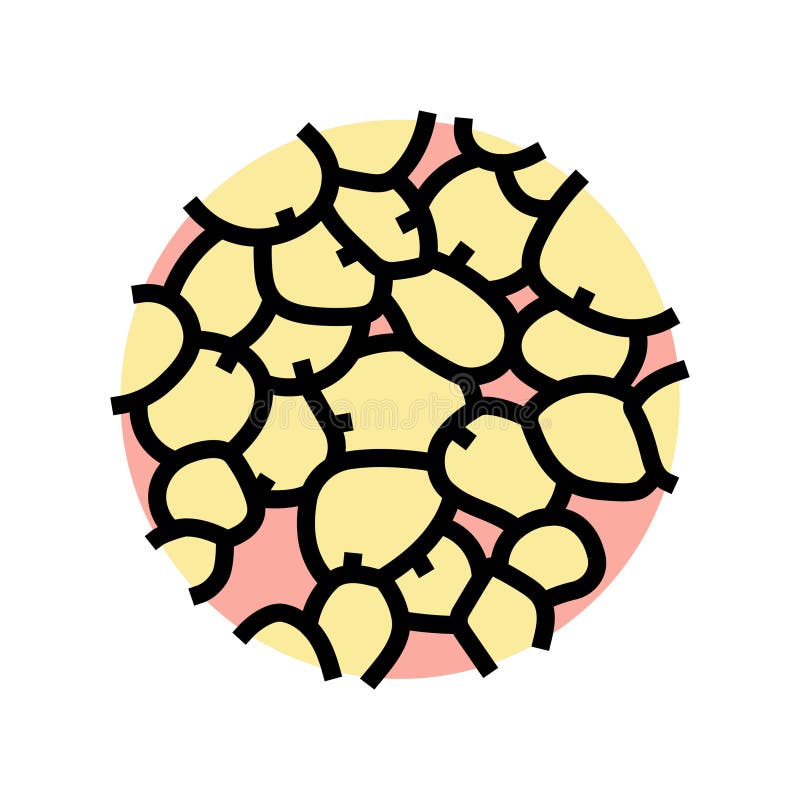 Adipose Tissue Obesity Overweight Color Icon Vector Illustration Stock Illustration
