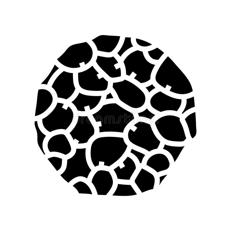 Adipose Tissue Obesity Overweight Glyph Icon Vector Illustration Stock Vector Illustration Of