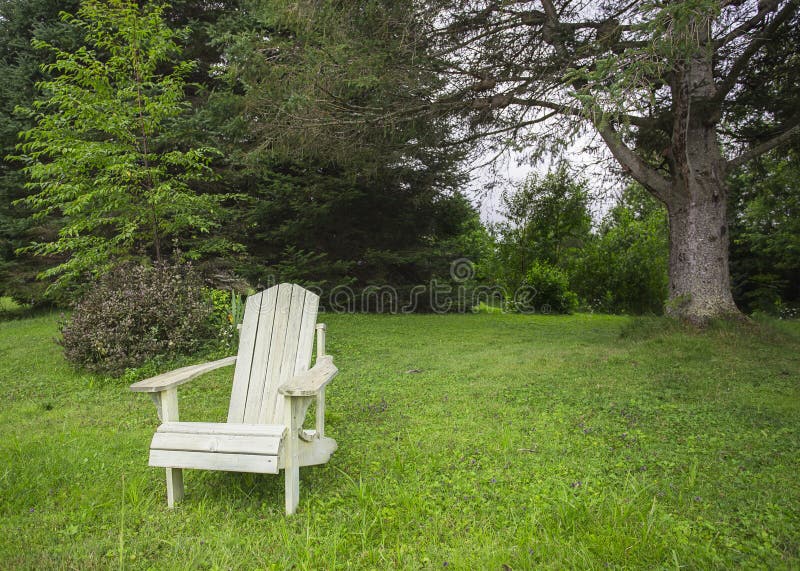 Adirondack Chair in the Forest Stock Photo - Image of oute, adirondack ...
