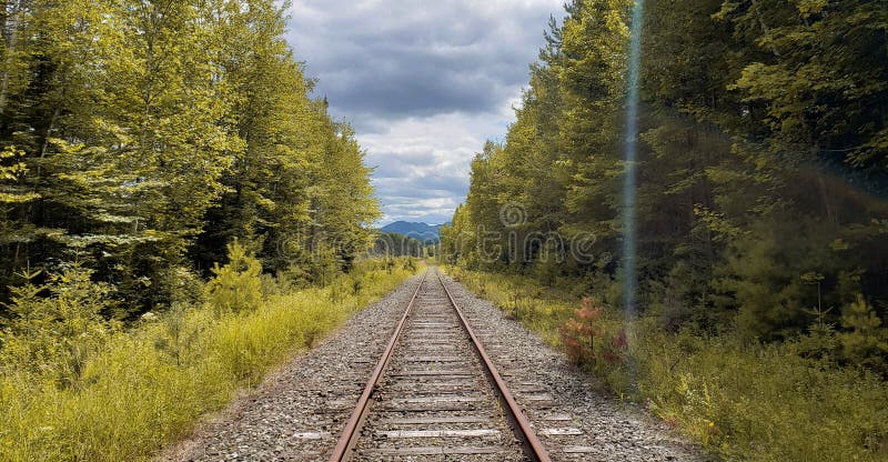 Remembering the Adirondack Train Tracks Stock Photo - Image of august ...