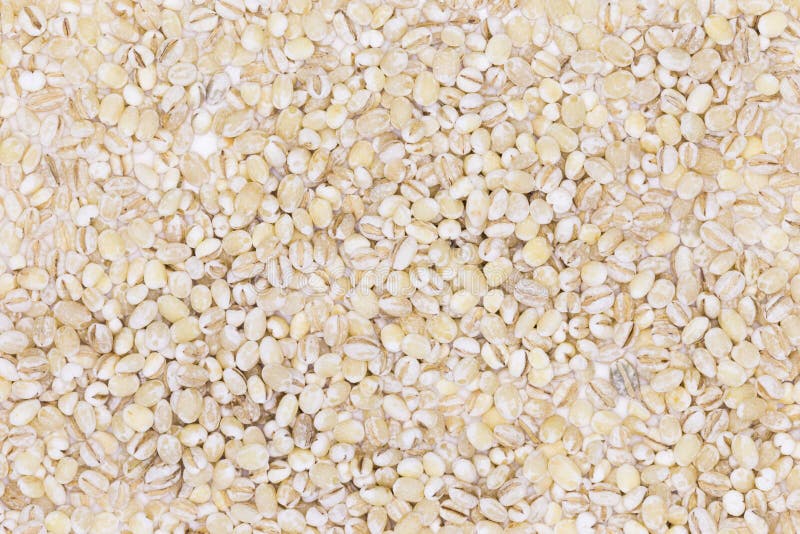 Adlay foto de archivo. Imagen de crudo, ingrediente - 102127100