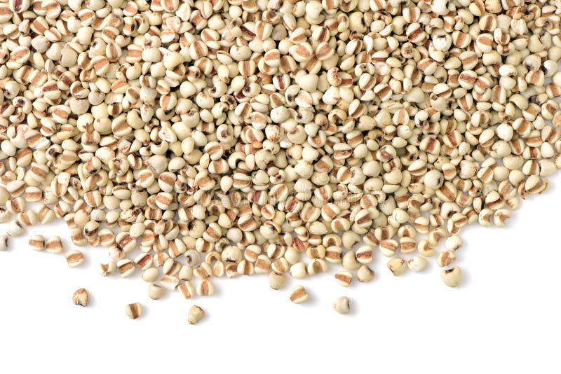 664 Adlay Stock Photos - Free & Royalty-Free Stock Photos from Dreamstime