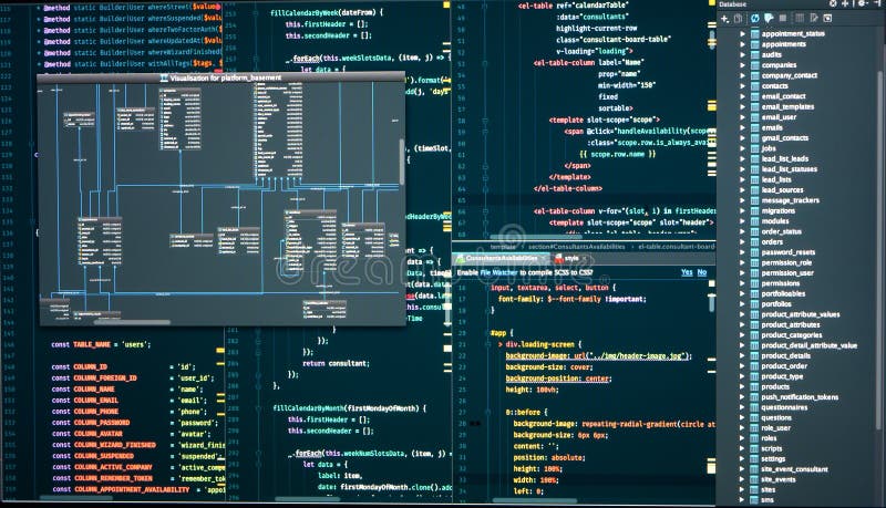 Administration of Database for Software. Programmer Workflow ...