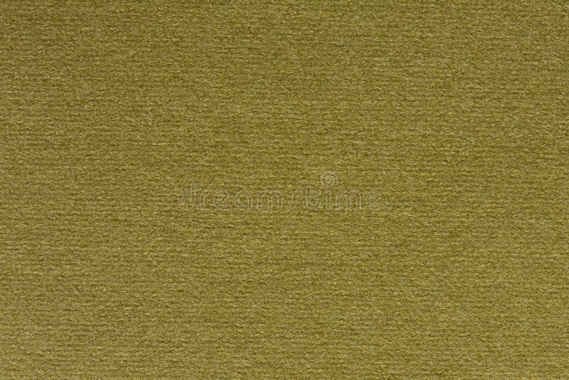 Admirable Olive Material Texture. High Quality Background in Extremely ...