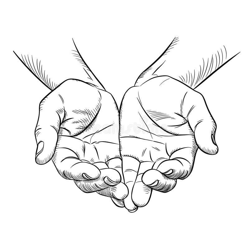 Cupped Hands Sketch stock vector. Illustration of caring - 358142433