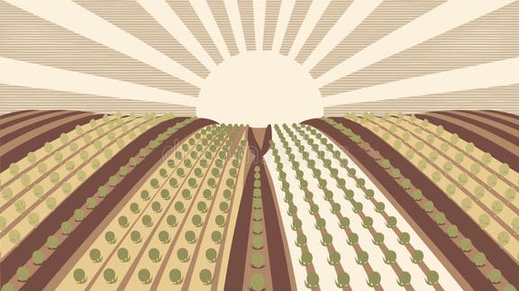 Cultivated Fields Rolling Hills Graphic Landscape Stock Vector ...