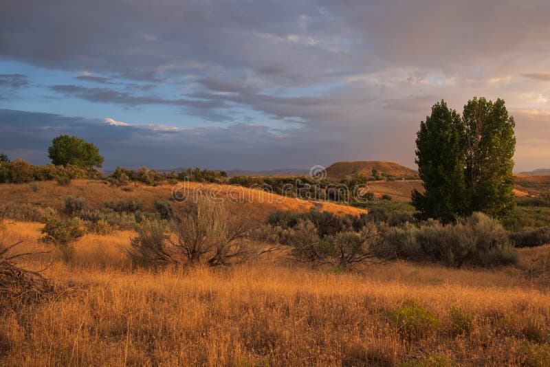 Western Late August stock image. Image of landscape - 310268361