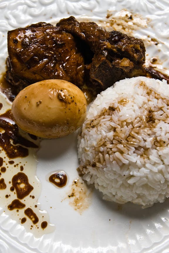 Adobo foto de archivo. Imagen de cebolla, cocina, alimento - 10997496