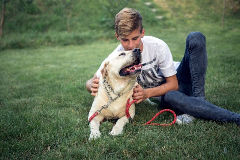 Adolescent Male with Labrador Spend Time on the Grass Stock Image ...