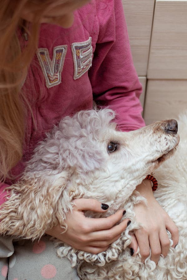 Adolescente Y Un Gran Perro Caniche Real Foto de archivo - Imagen de ...