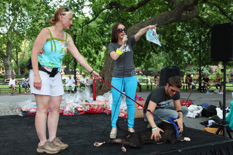 ADOPT NY Co-Founder Emily Tanen (center) on Stage Editorial Image ...