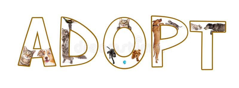 Adopt a Pet Funny Text stock image. Image of together - 85660471