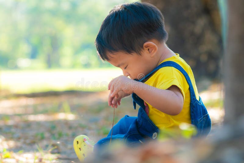 Adorable Asian Boy Playing in Tree Forest Park Morning Sunrise Nature ...