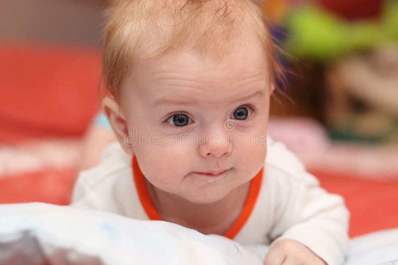 Adorable baby stock photo. Image of mammal, innocence - 12600736