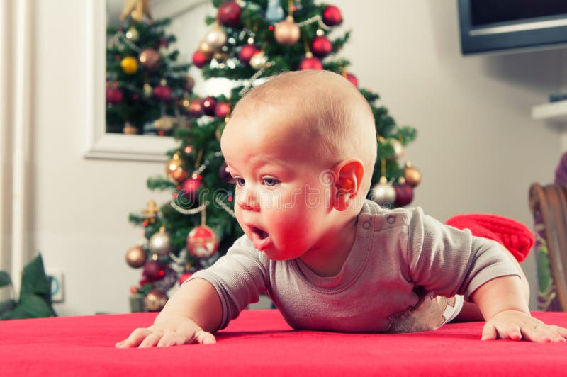 Adorable Baby Boy Crawling beside Christmass Tree. Concept of ...