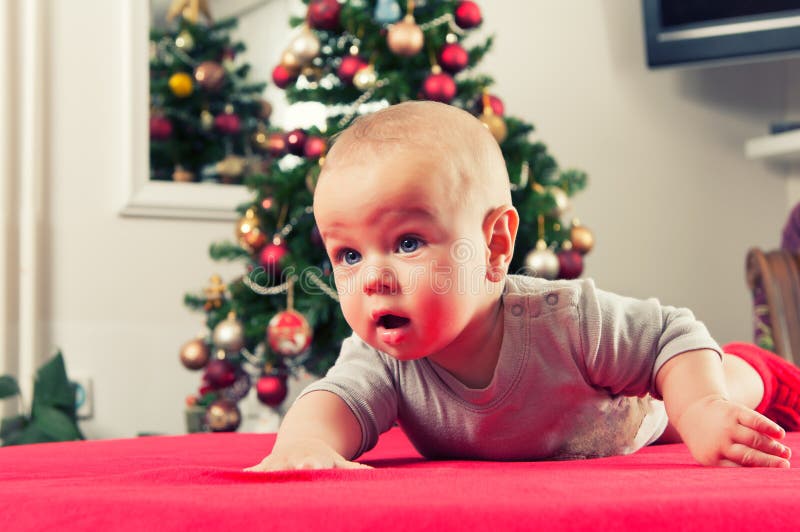 Adorable Baby Boy Crawling beside Christmass Tree. Concept of ...