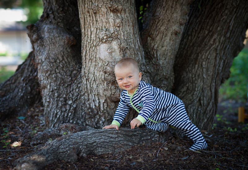 Adorable Baby Boy Crawling on the Roots of a Huge Tree Stock Image ...