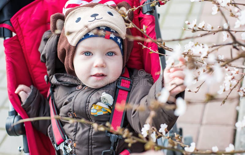 Adorable Baby Boy in a Stroller Stock Photo - Image of adorable ...